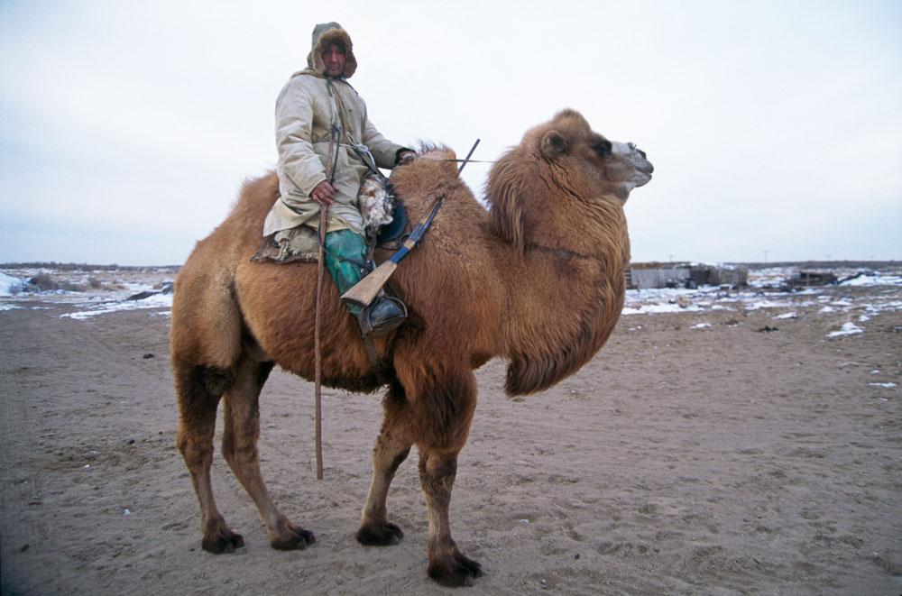 Trail of Genghis Khan – Tim Cope Journeys